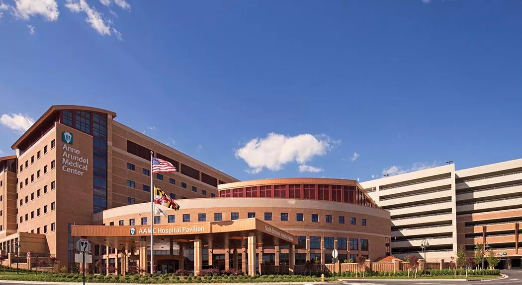 Anne Arundel Medical Center to Receive the 2020 AONL Prism Diversity ...