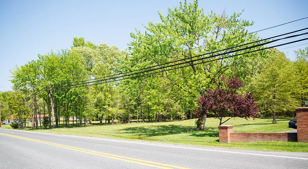 Family donates land in south Anne Arundel County to AAMC | Luminis Health